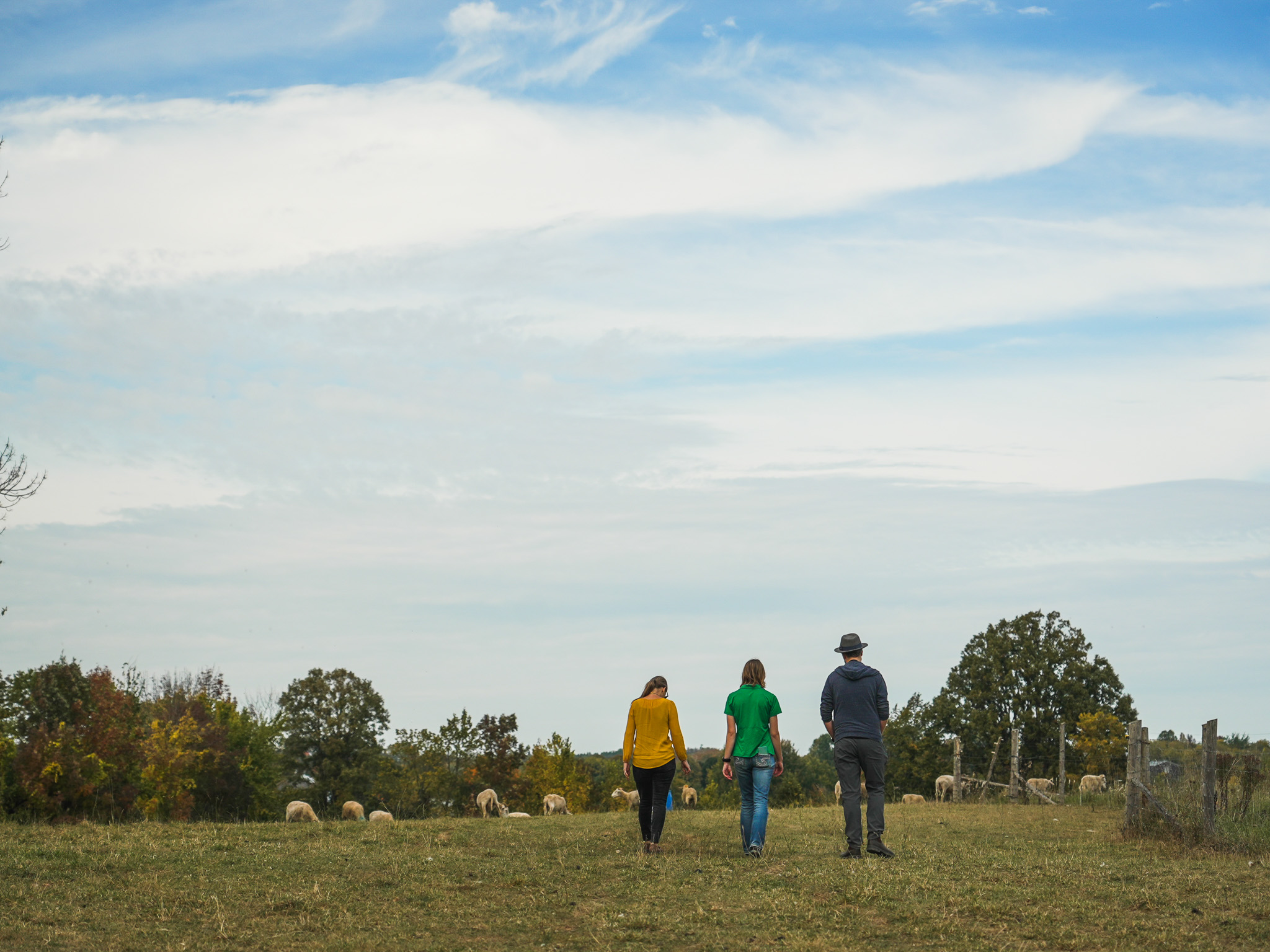 Life on the Farm: Agritourism at Harley Farms - Kawarthas Northumberland