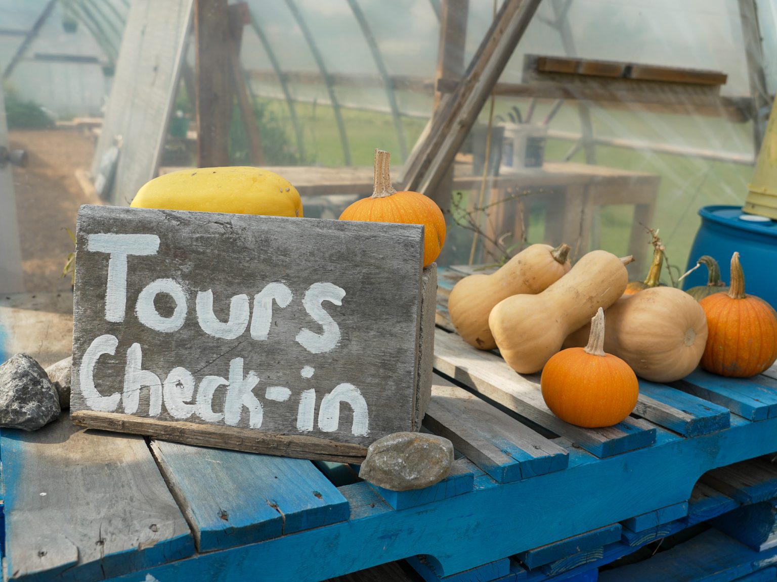 Life on the Farm: Agritourism at Harley Farms - Kawarthas Northumberland