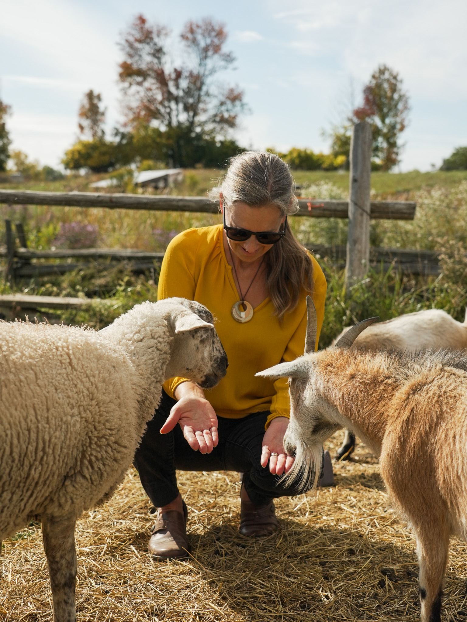 Life on the Farm: Agritourism at Harley Farms - Kawarthas Northumberland